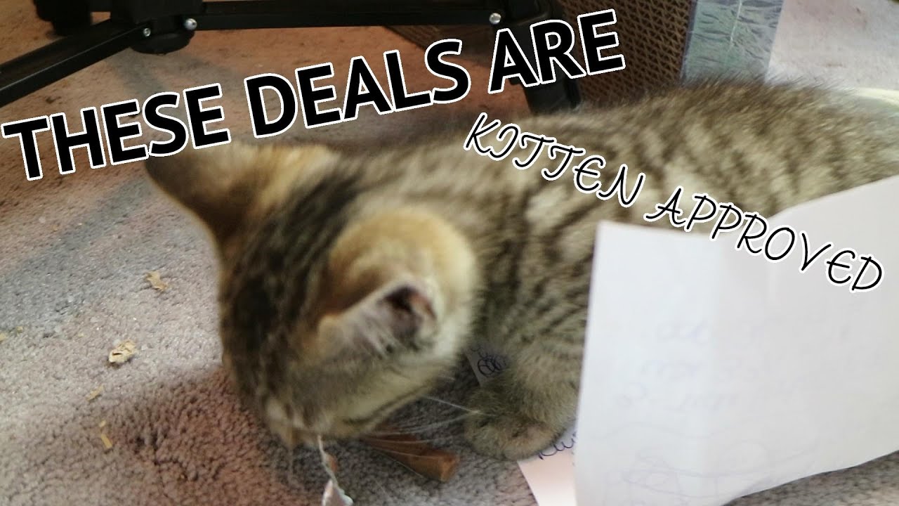 Tide Pods, Cat Litter, & Summer Clearance Galore! ~ Target Couponing ...