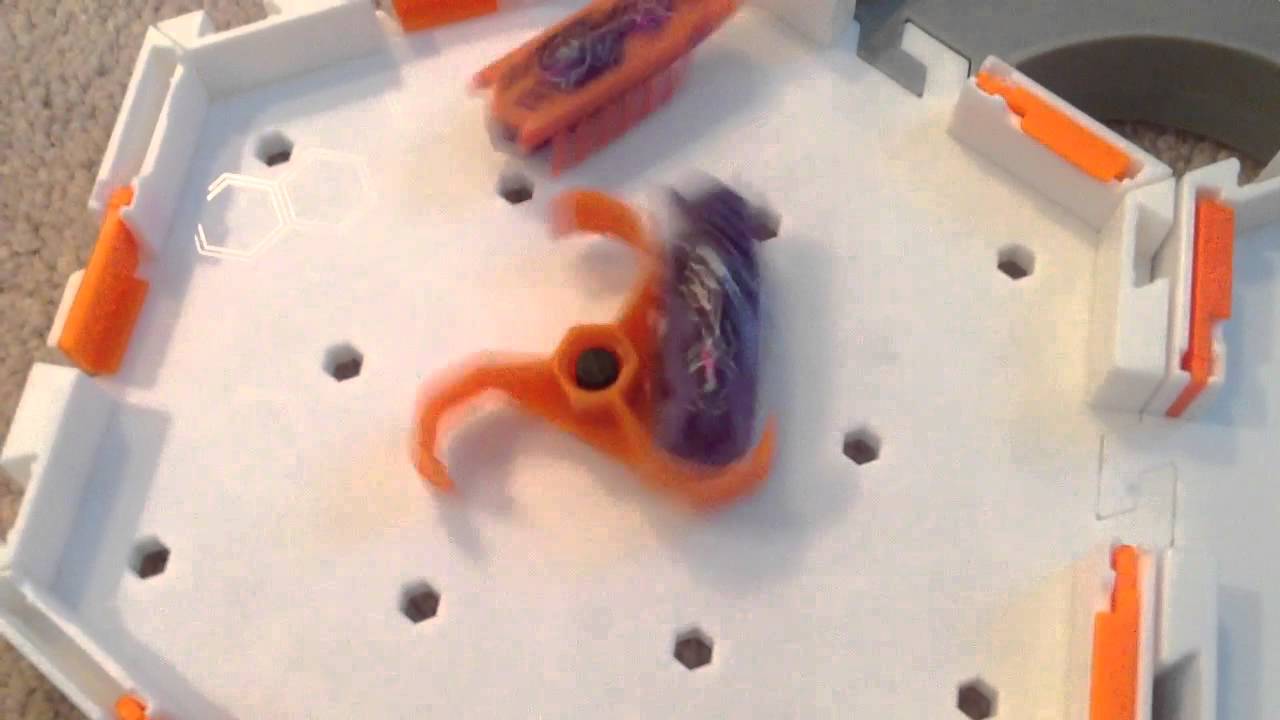 Bug Race 1st Video Every Posted On My Channel - YouTube