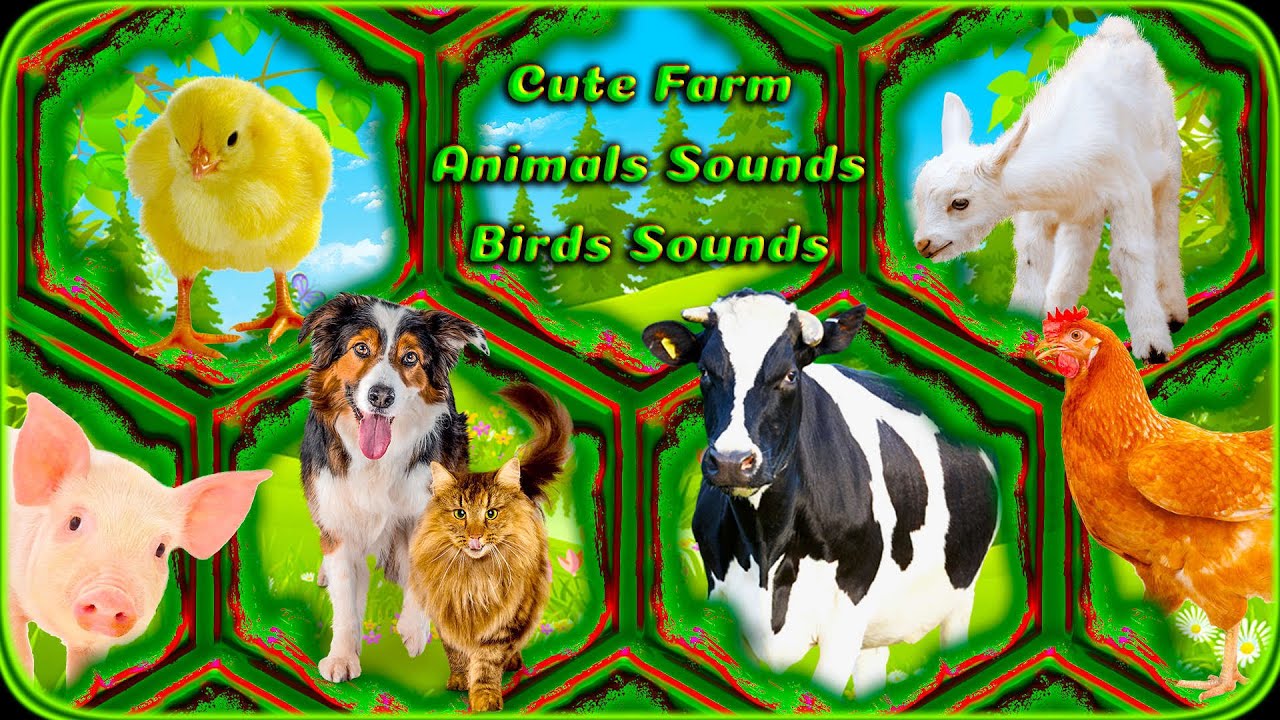 Cute Farm Animals • Animals Sounds • Birds Sounds • Dog, Pig, Bee ...