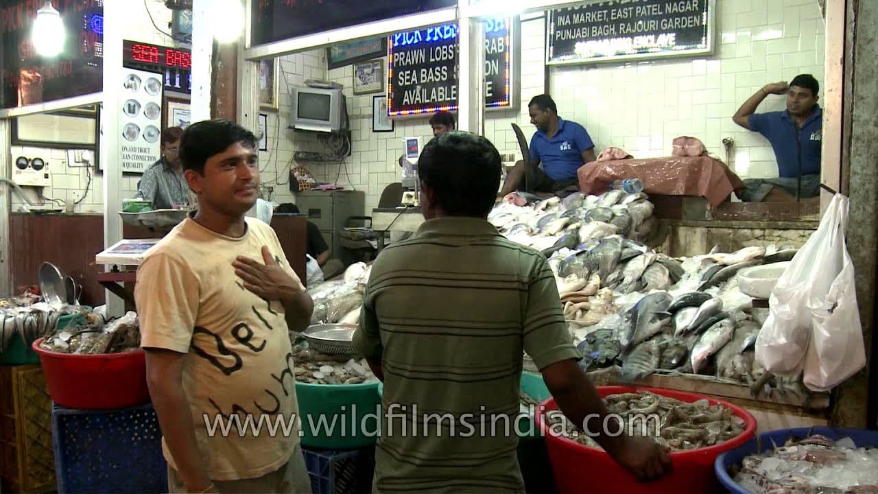 Fresh sea food at INA Market - YouTube