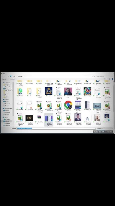 Day 4 Job Application Form #html5 #css3 #js #devlopment #websitedeveloped #coding #coder - YouTube