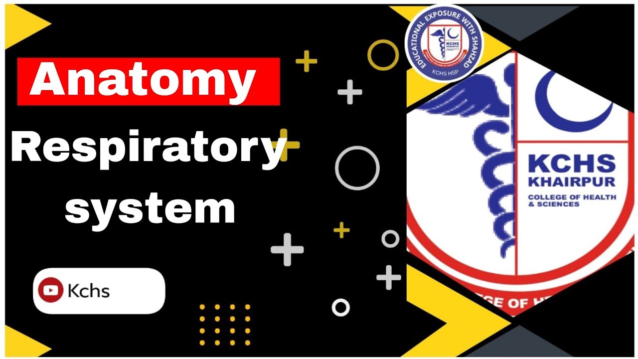 Anatomy | Respiratory system | KCHS - YouTube