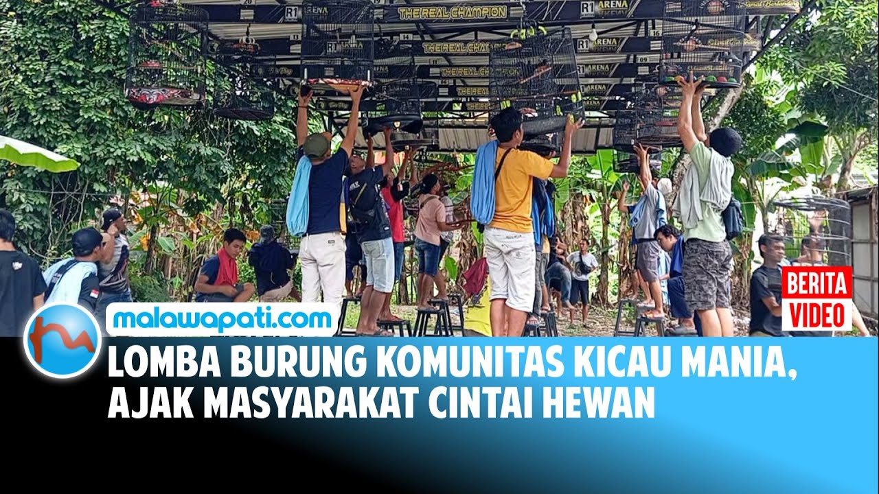 Hobi Lomba Burung Komunitas Kicau Mania, Ajak Masyarakat Cintai Hewan ...