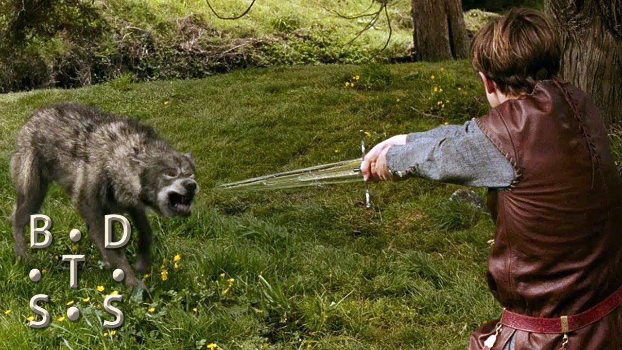 16. "Sir Peter" Visualizing The Lion, the Witch and the Wardrobe - YouTube