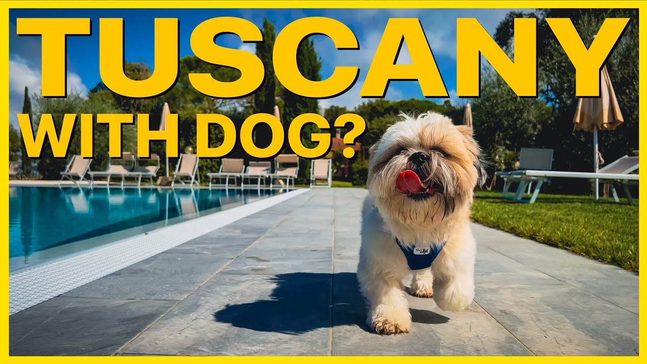 Should You Take a Dog to Tuscany? Where you can go with your Puppy ...