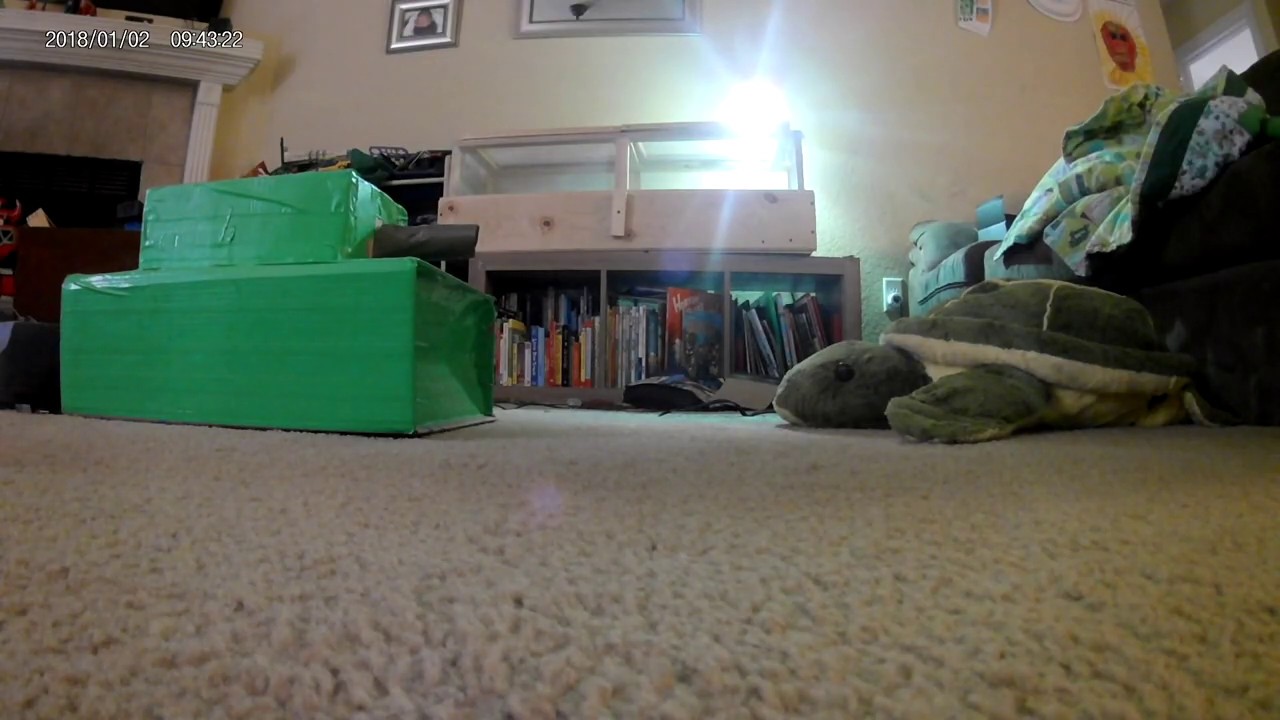 Cardboard Tank vs Giant Turtle - YouTube