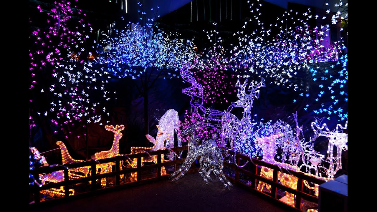 Marvelous Christmas Decoration – Lightree by Slide Design - YouTube