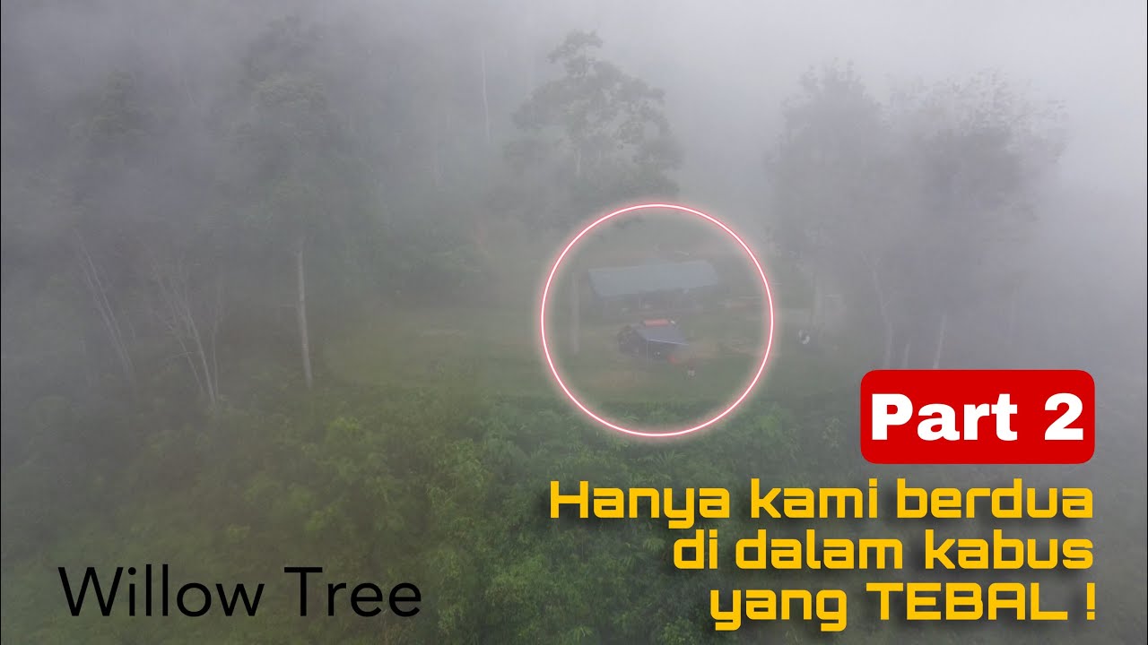 T5: P2; CAMPING CAMPERVAN DALAM KABUS TEBAL WILLOW TREE CAMPSITE | CLOUD BED | AWAN NANO # ...