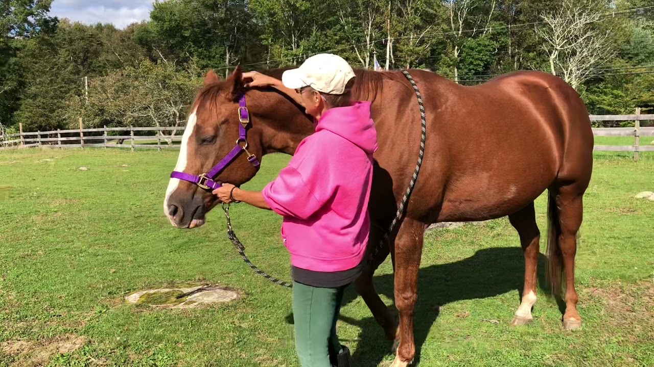 Lowering head - YouTube