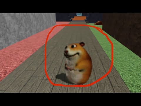 How to find normally chomik 😂(the most useful tutorial ever) - YouTube