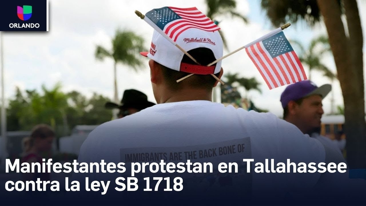 Manifestantes protestan frente al Capitolio de Tallahassee contra la ...
