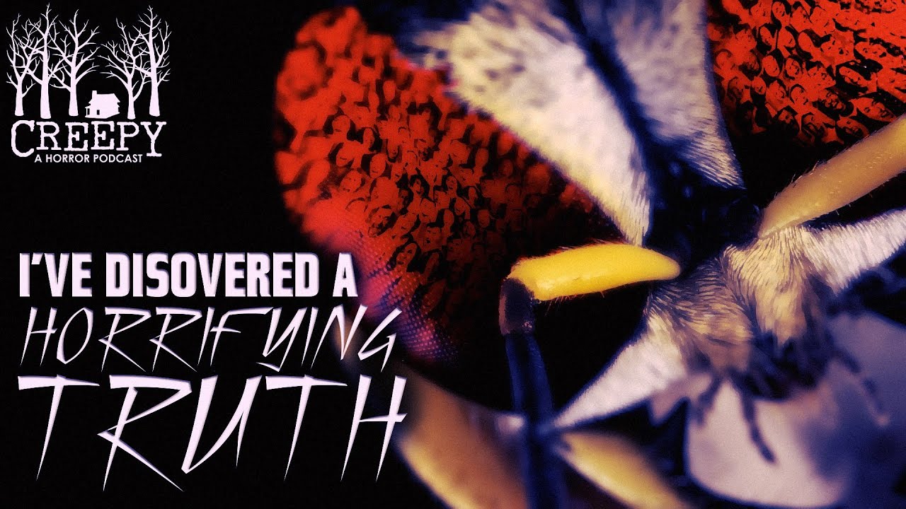 I ve Discovered A Horrifying Truth YouTube i-ve-discovered-a-horrifying-truth-youtube