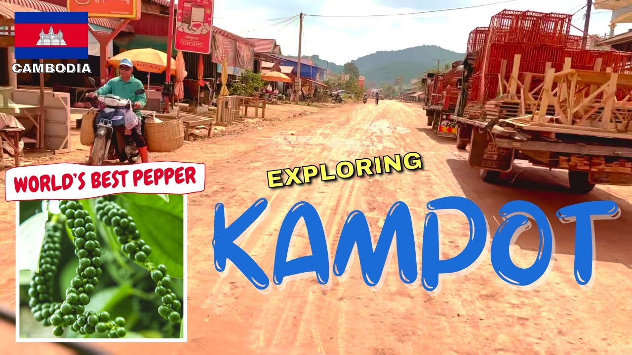 World’s Best Peppercorns at Bo Tree Farm | Cambodian Countryside Tour ...
