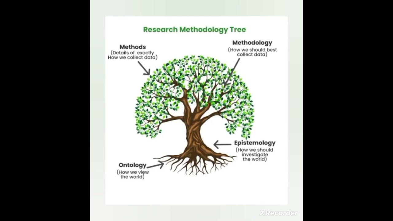 Research Methodology Tree - YouTube