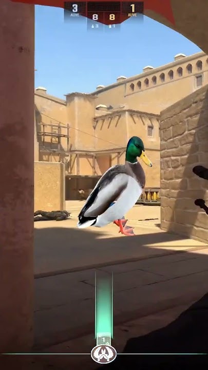DUCK SIMULATOR IN CS2?! #cs2 #csgo #duck - YouTube