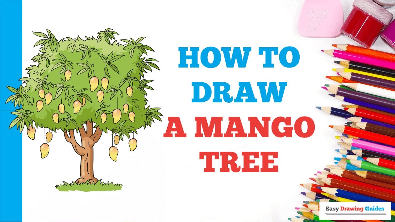 How To Draw A Mango Tree Easy Step By Step Drawing Tutorial For How To Draw A Mango Tree Easy Step By Step Drawing Tutorial For