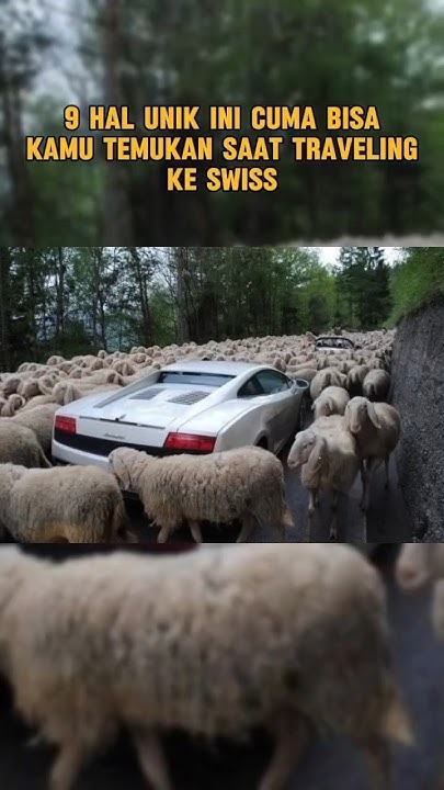 9 HAL UNIK INI CUMA BISA KAMU TEMUKAN SAAT TRAVELING KE SWISS #swiss #switzerland switzerland # ...