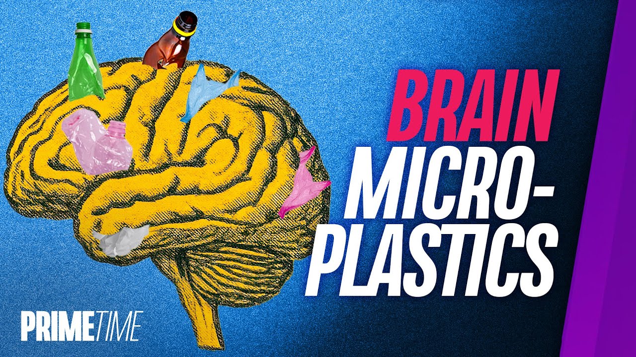 Study Finds SHOCKING Level of Plastic in Human Brains - YouTube