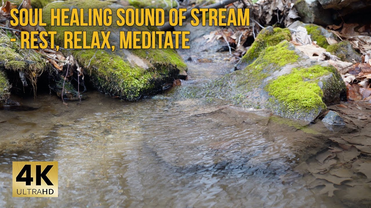 Soul Healing Sound of Calm Easy Spring - RELAXING - YouTube