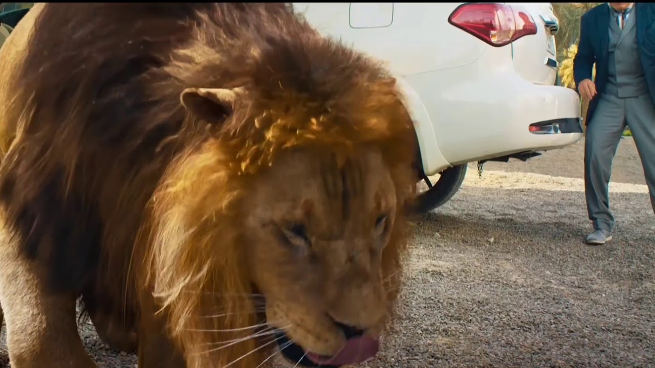 Jackie Chan-kung fu yoga lion vomit scene - YouTube