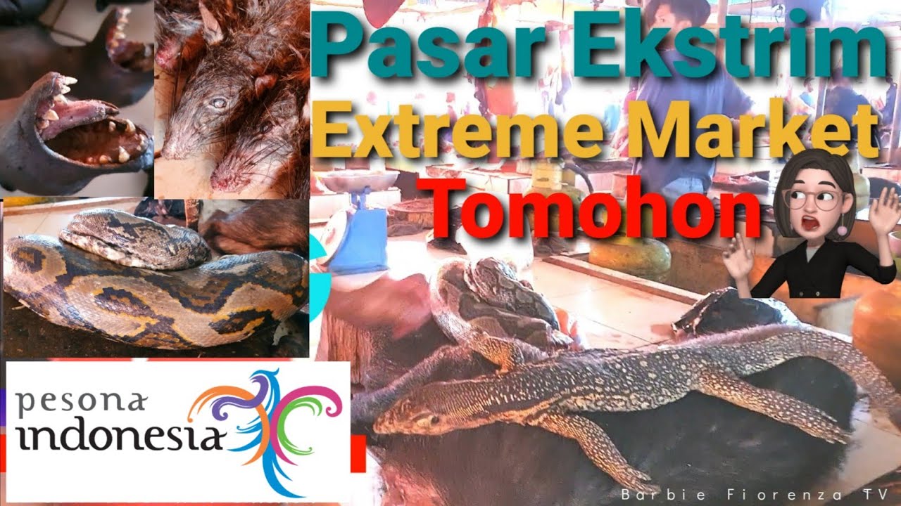 Pasar Extreme Tomohon Sulawesi Utara | Berbagai Hewan Extreme Ada ...