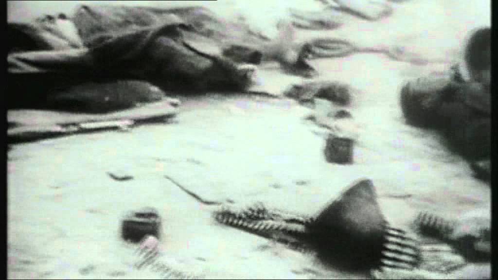 1942: Die Weiße Rose - YouTube