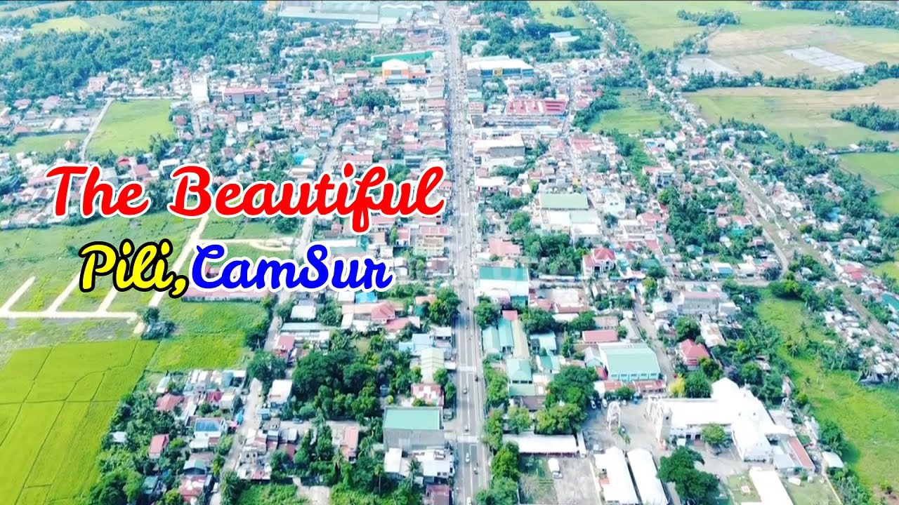 The Beautiful Pili Camarines Sur YouTube the-beautiful-pili-camarines-sur-youtube