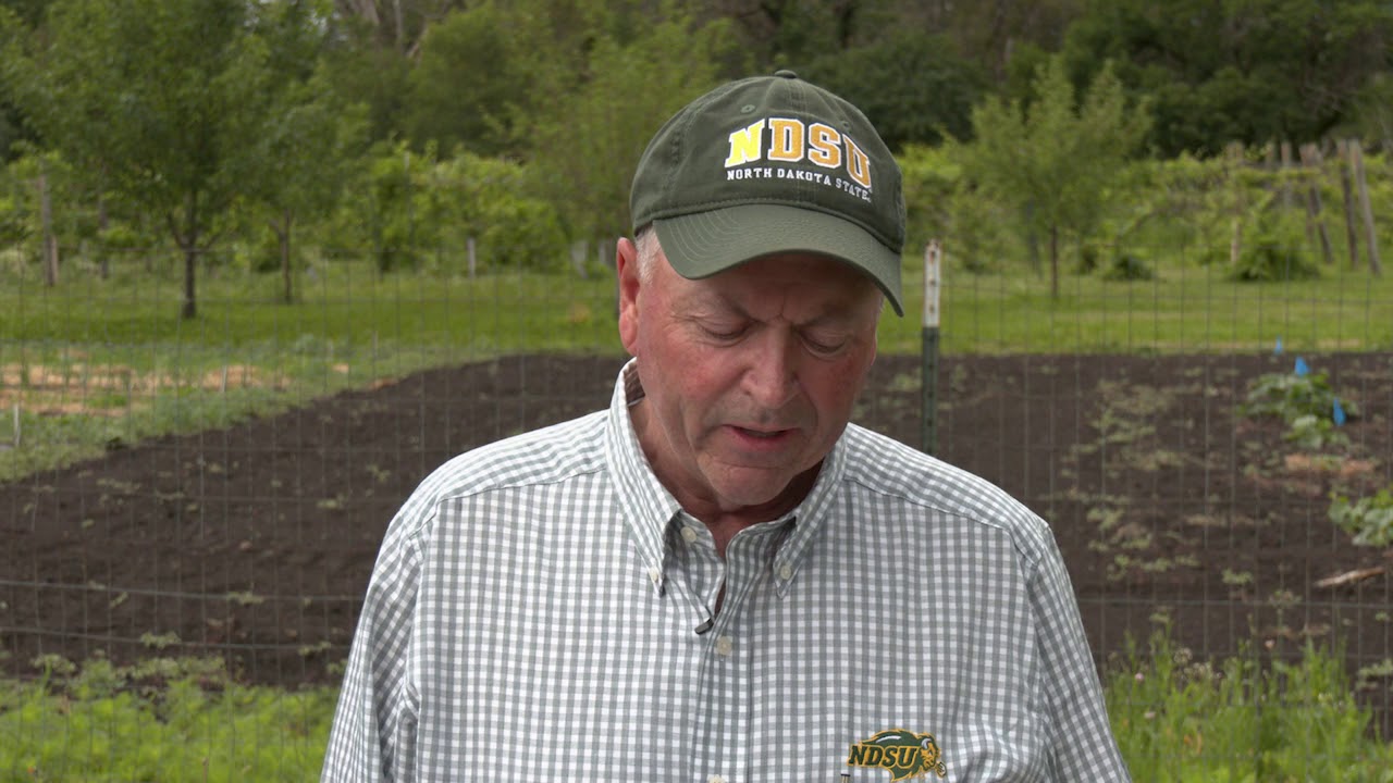 Mark Birdsall SBARE Welcome - YouTube