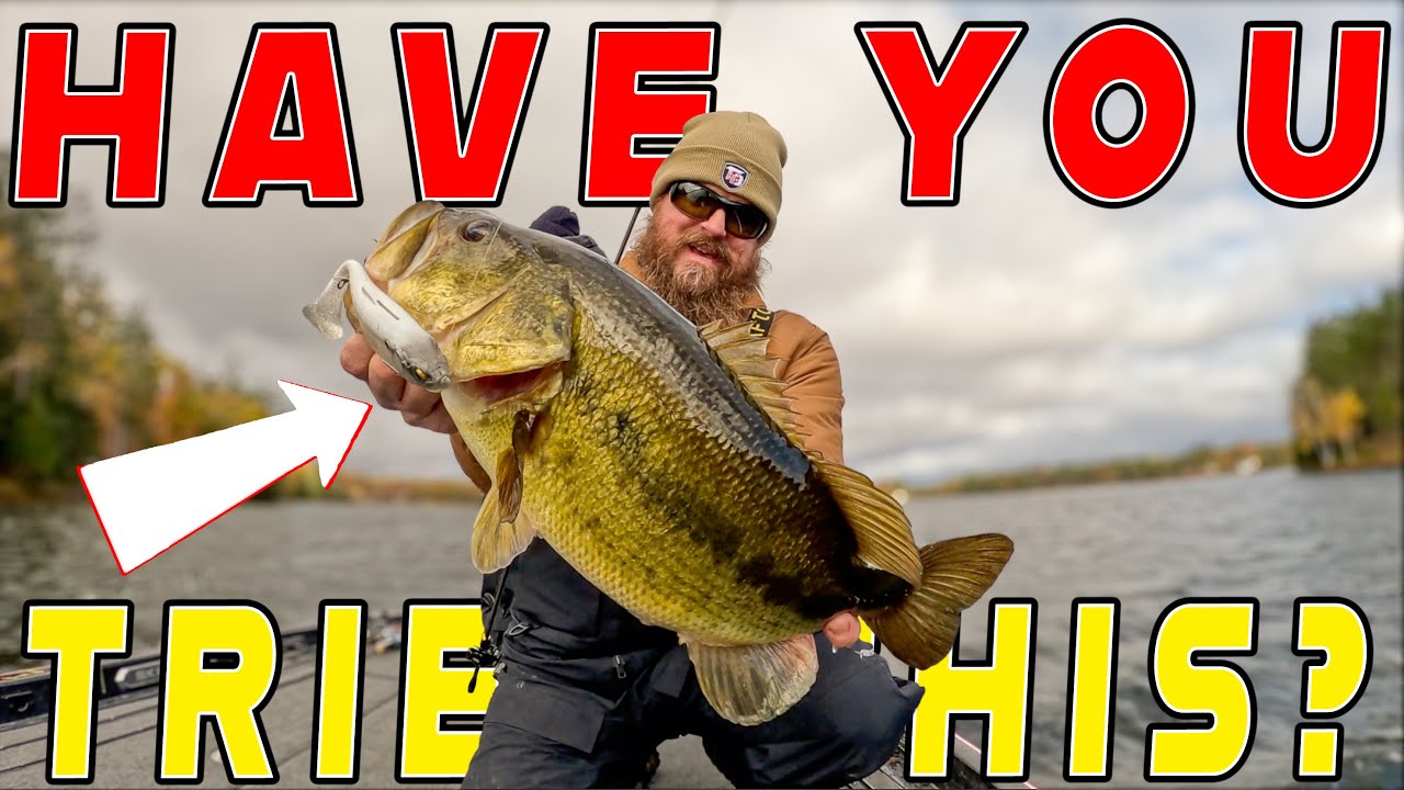 How To Find And Catch Fish In Any Lake! (3 Key Patterns To Catch Bass ...
