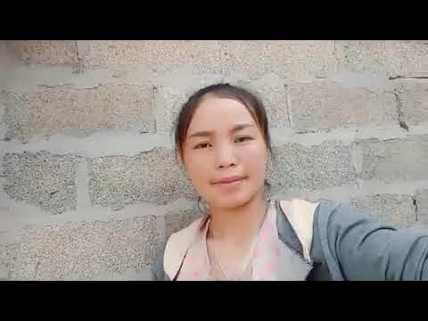 Npaj tsev teb yuav cog Ntoo yas. - YouTube