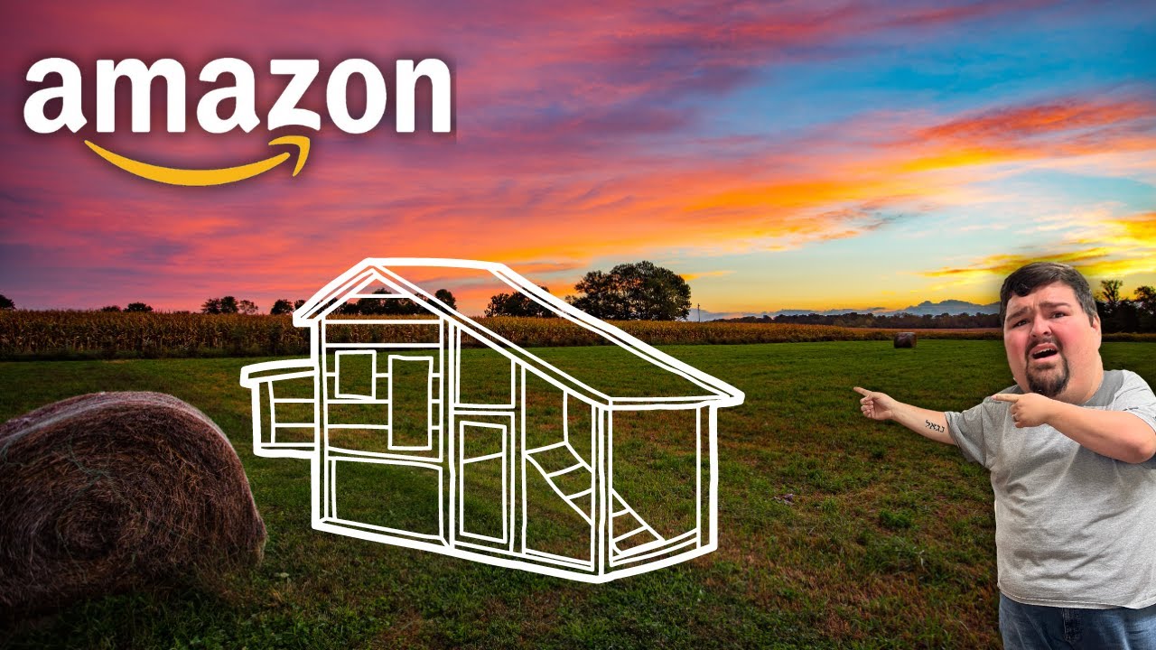 I Bought the CHEAPEST Chicken Run on Amazon - YouTube