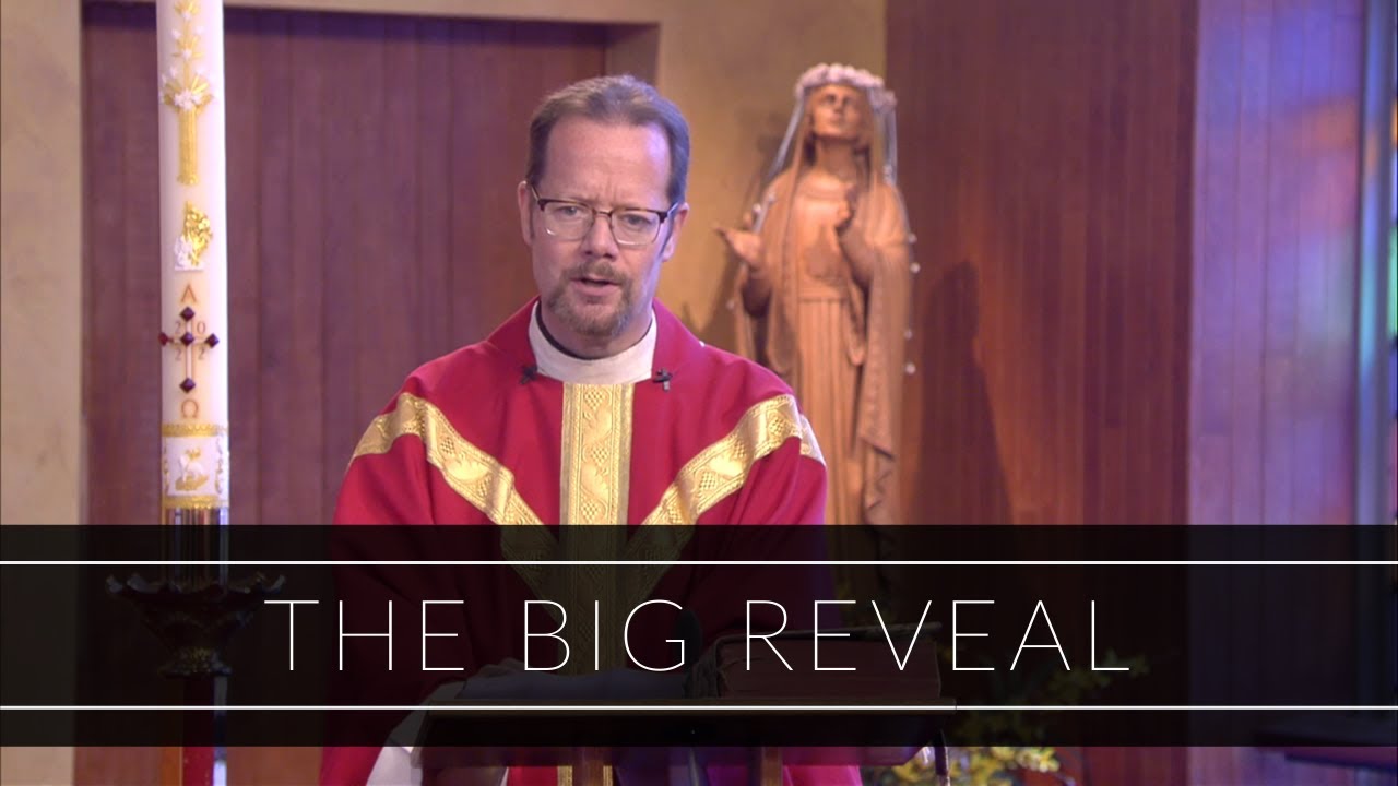 The Big Reveal | Homily: Father Brian Clary - YouTube