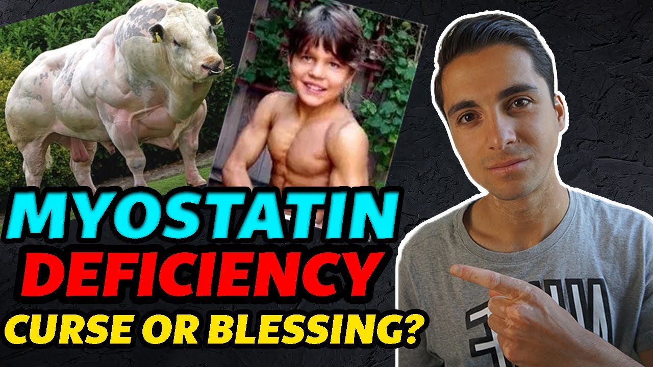 Myostatin Deficiency & Muscle Growth | Are Ronnie Coleman, Flex Wheeler ...