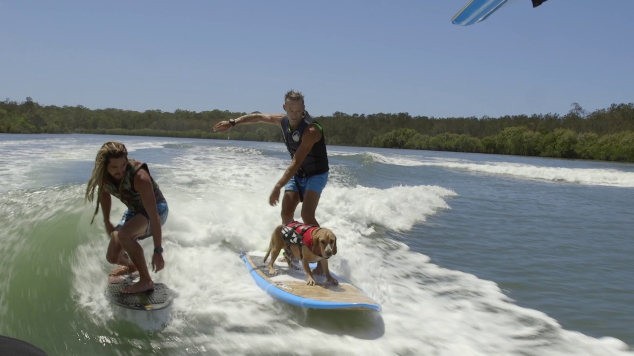 Chaparral surf boats making waves for some dog surfing - YouTube