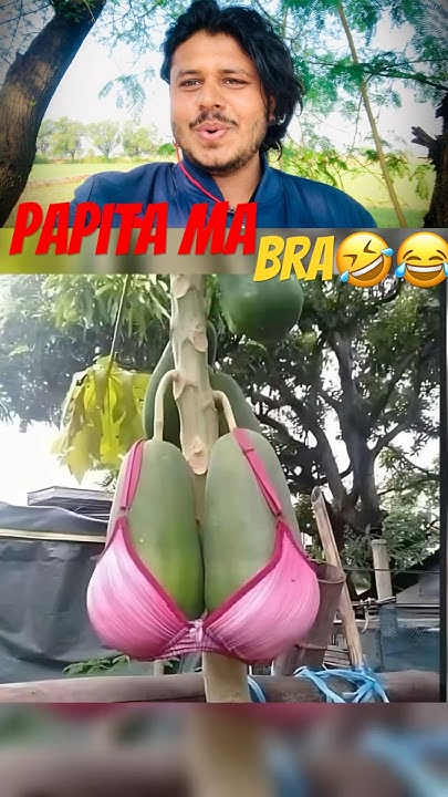 Try not to laugh challenge pt 131 😂 #funny #comedy #reaction #shorts - YouTube