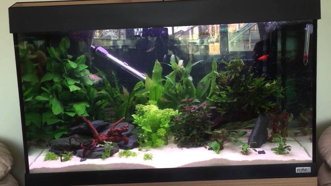 Fluval Roma 125 - YouTube