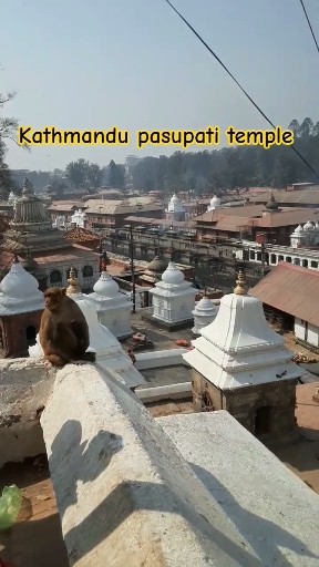 the famous temple pasupati nath KTM Nepal - YouTube