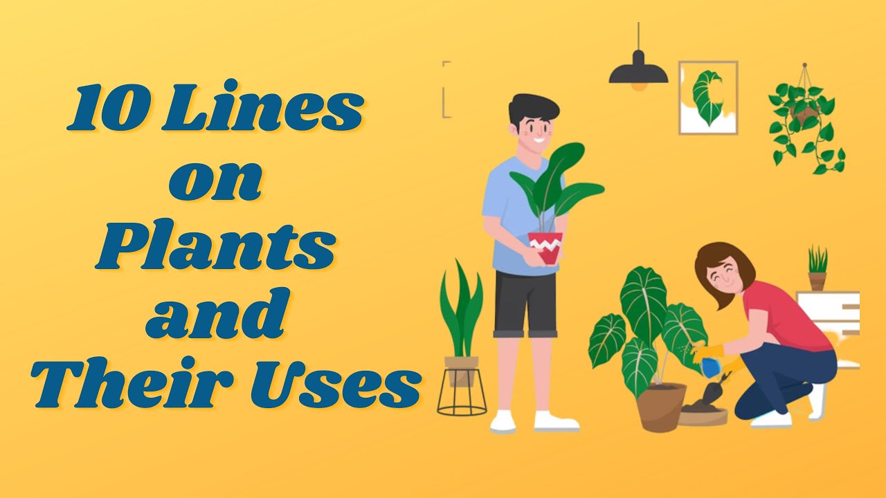 Importance of Plants | 10 Lines on Plants and Their Uses | Short Essay ...
