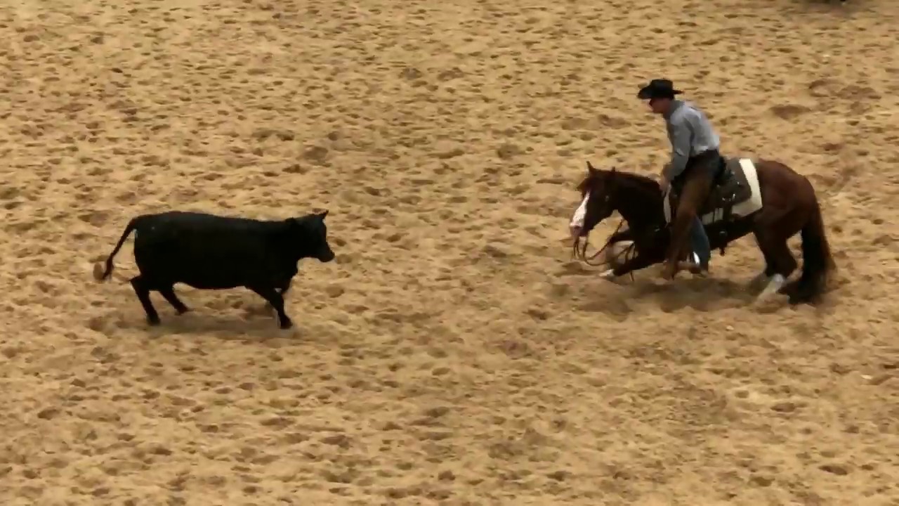 Beau Galyean rides Rollz Royce to the 2019 NCHA Super Stakes Classic ...