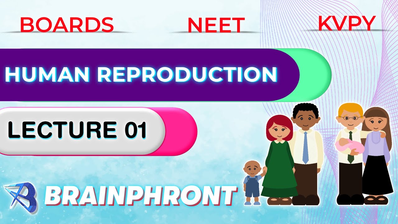 Human Reproduction | Lecture 1 | Chapter 3 | Biology | Class 12 ...