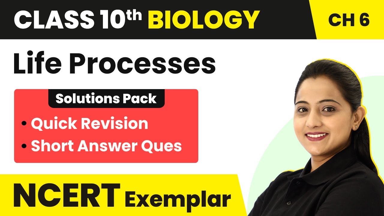 Class 10 Biology Unit 6 NCERT Exemplar |Life Processes-Quick Revision ...
