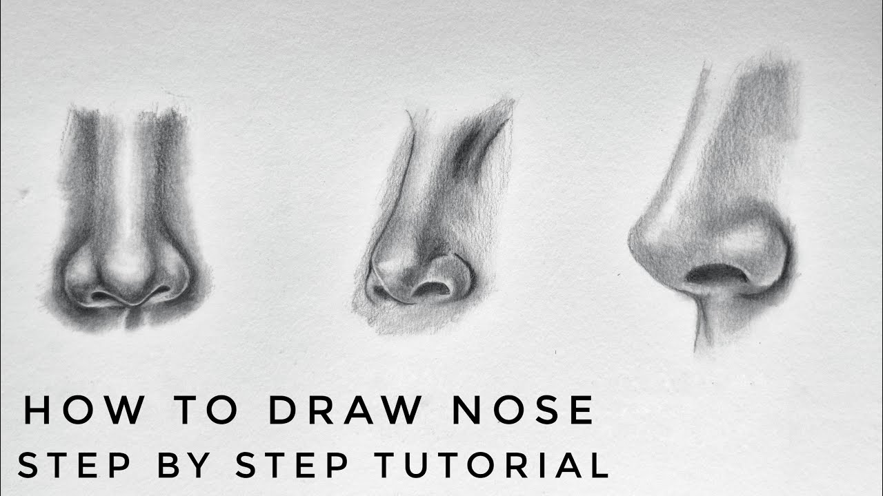 " How To Draw Nose " in Different Perspectives - YouTube