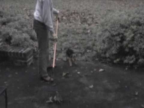 Leaf Defender.wmv - YouTube