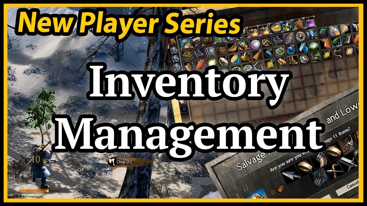 New Player Series - Guild Wars 2: Inventory Management (Gathering ...