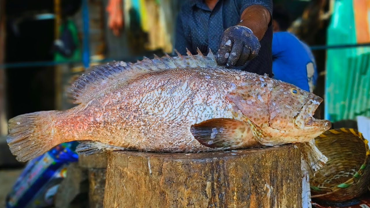 Kalava fish cutting video/#kasimedufishmarket #fishcuttingsk # ...