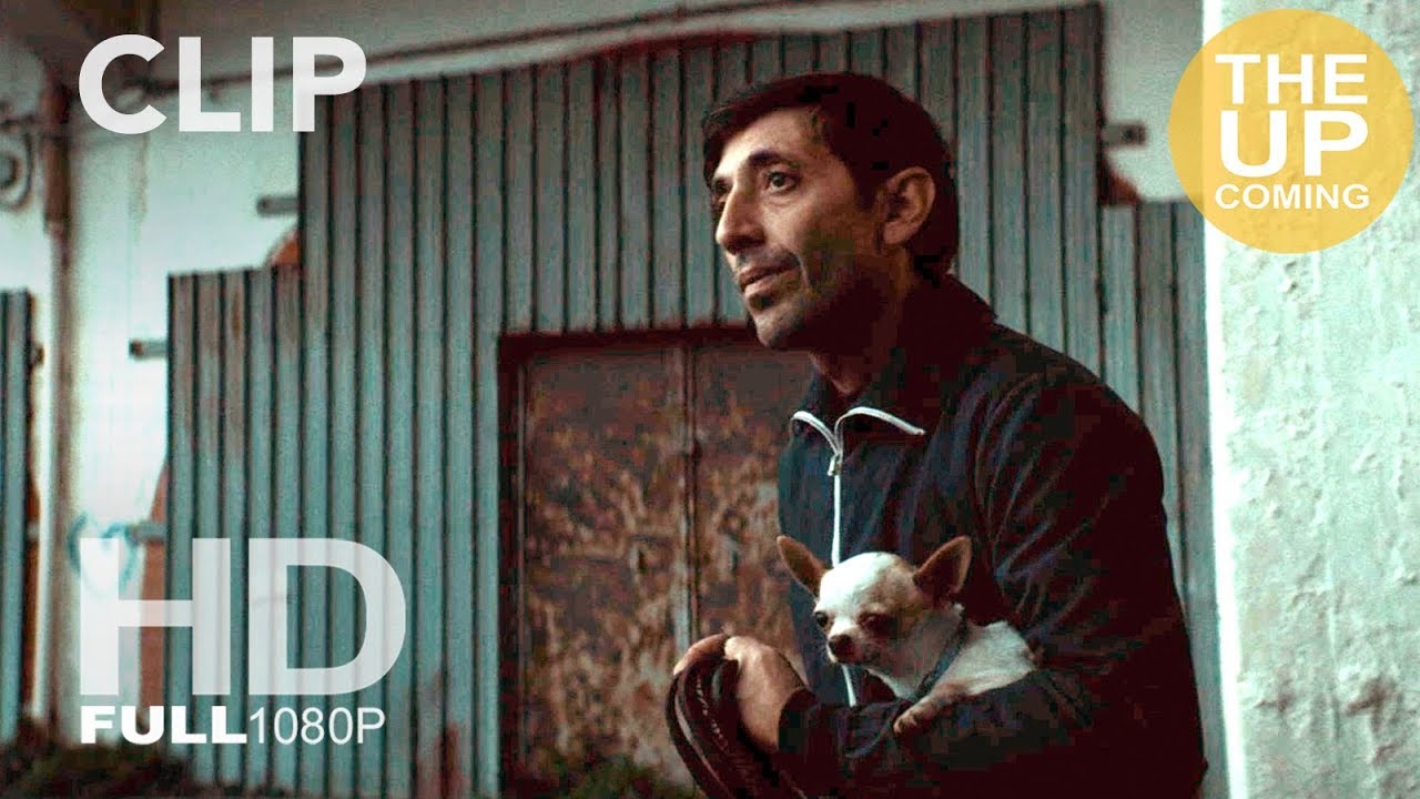 Dogman new clip official from Cannes – 2/3 - YouTube