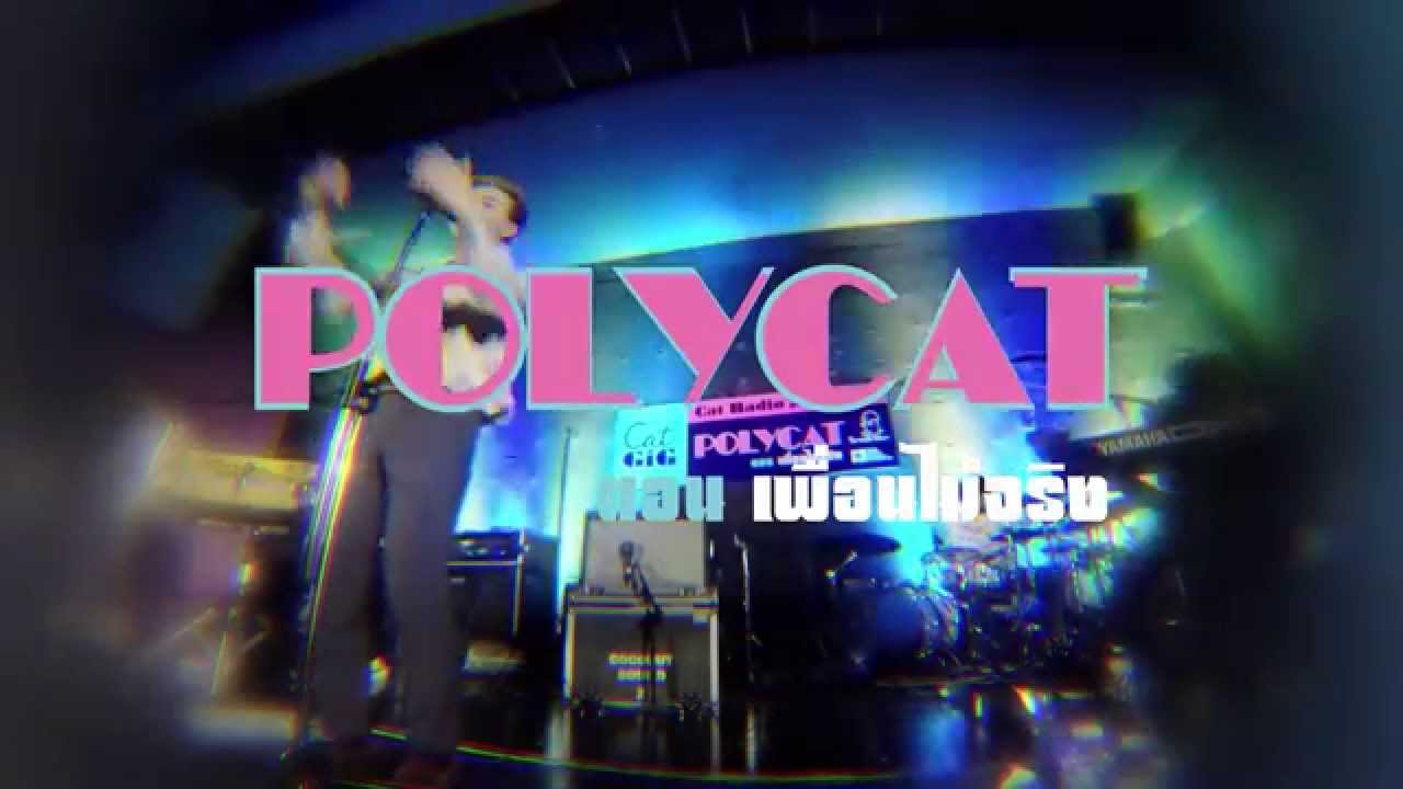 Cat GiG POLYCAT teaser - YouTube