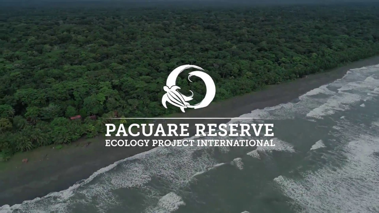 Reserva Pacuare, Costa Rica - YouTube
