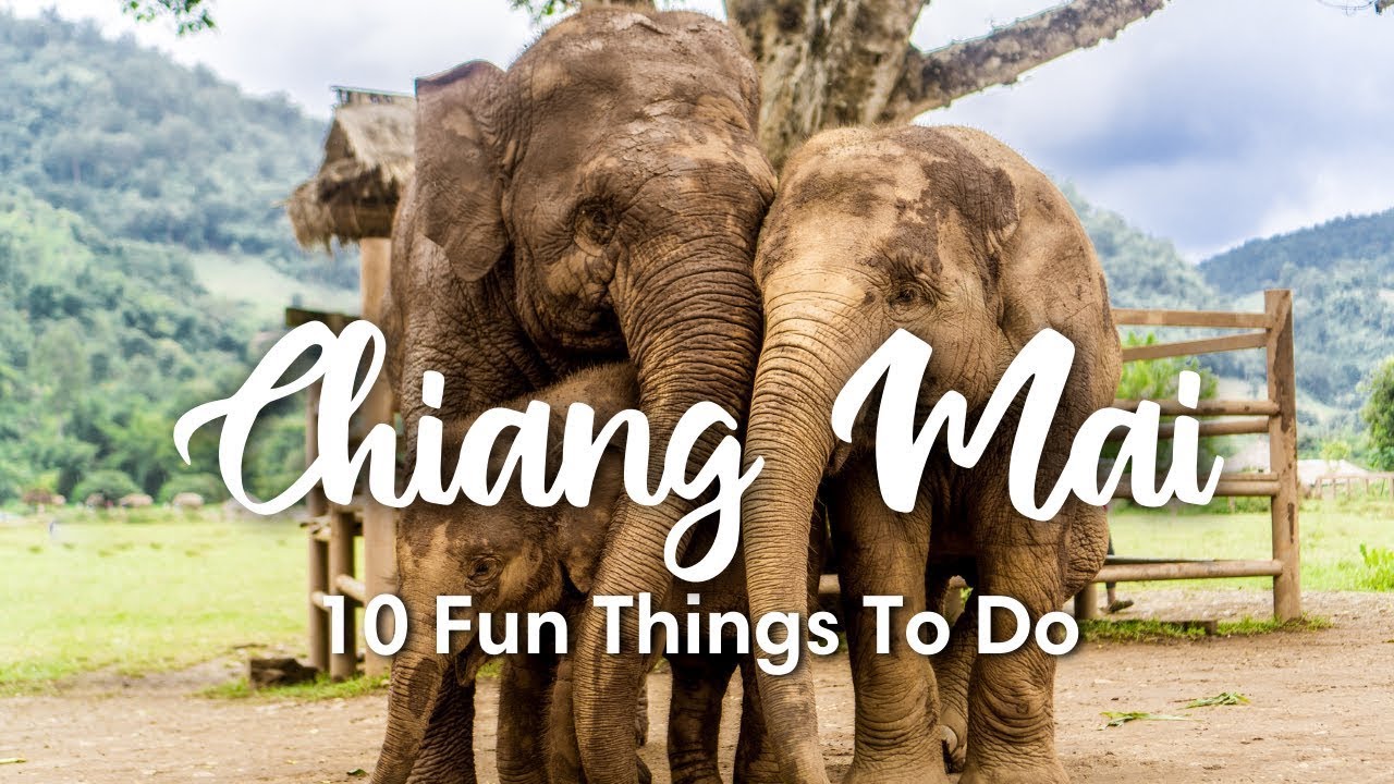 Best Things to do in Chiang Mai Thailand 2024 | Chiang Mai Travel Guide ...