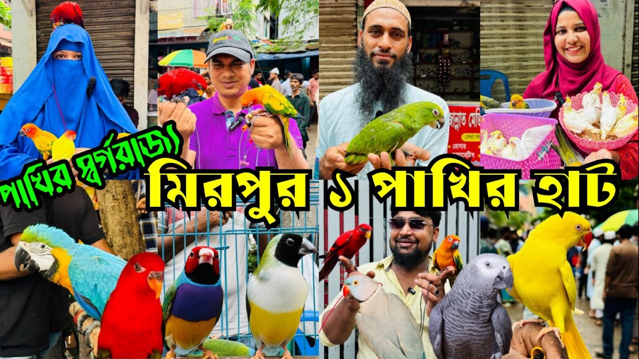 পাখির স্বর্গরাজ্য মিরপুর ১ পাখির হাট | Mirpur 1 Pakhir Hat | সানের দা*ম ...